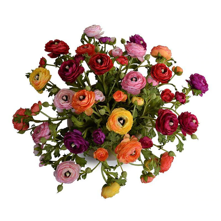 Ranunculus Centerpiece in Glazed Terracotta - Mixed – LIVING.KY