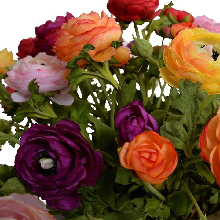 Ranunculus Centerpiece in Glazed Terracotta - Mixed – LIVING.KY